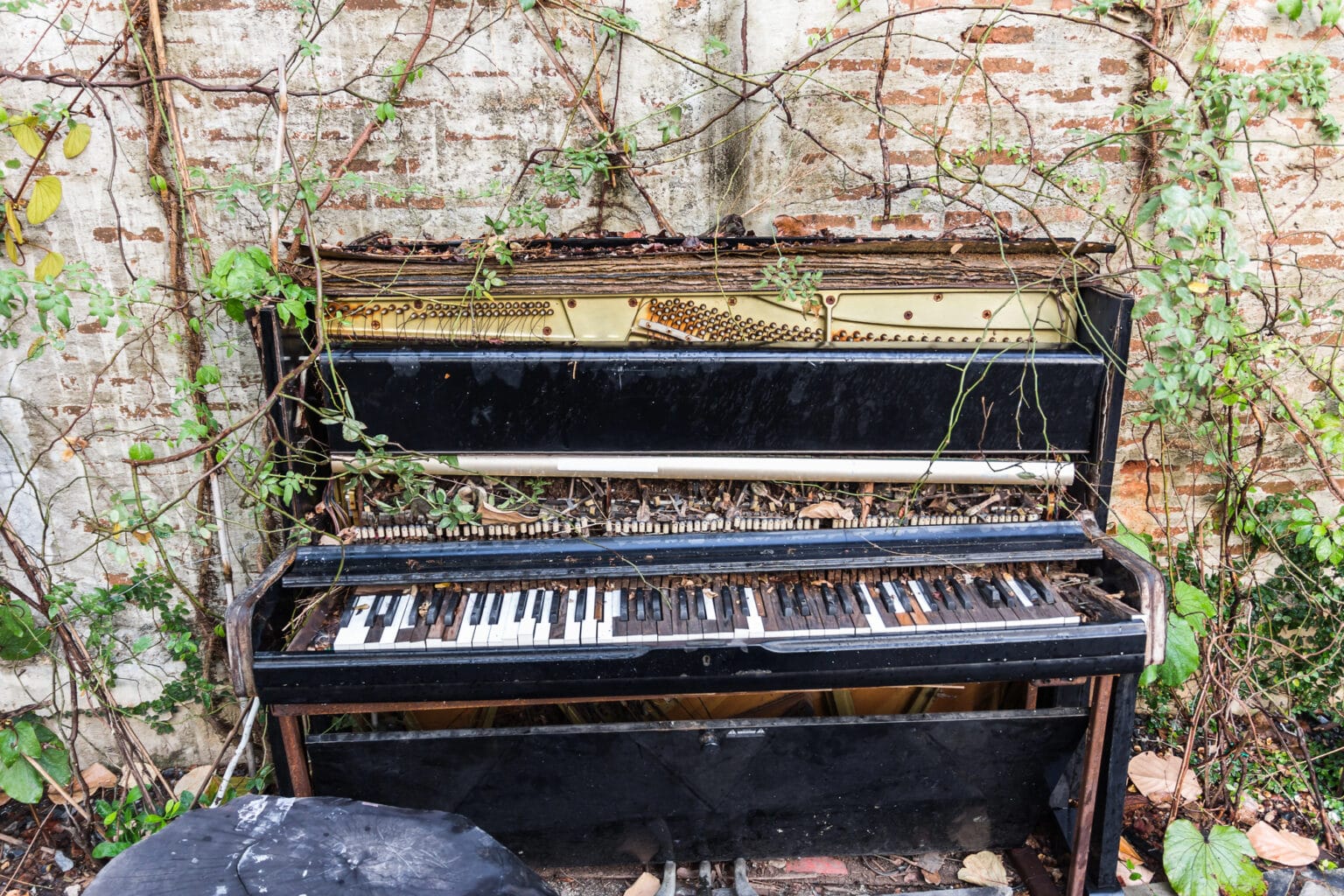 Piano Removal In Winnipeg - Prairie Containers